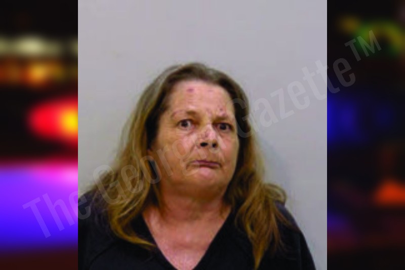 Pamela Conner — Bartow County Jail Bookings