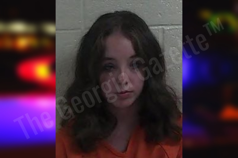 Alexandria Cook — Fannin County Jail Bookings