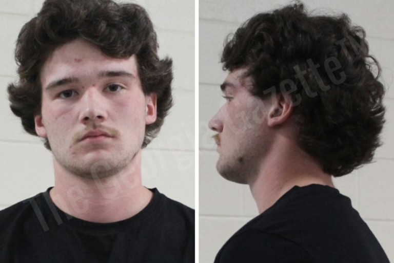 Brandon Davis — Houston County Jail Bookings