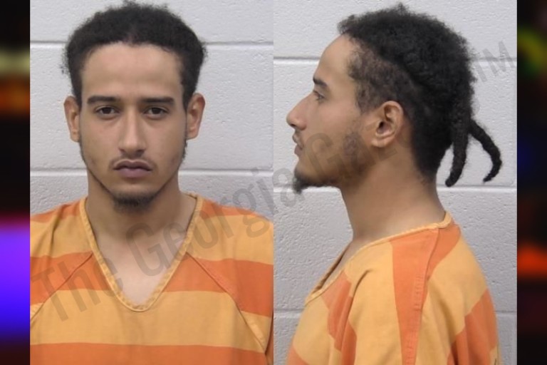 Reginald Davis — Paulding County Jail Bookings