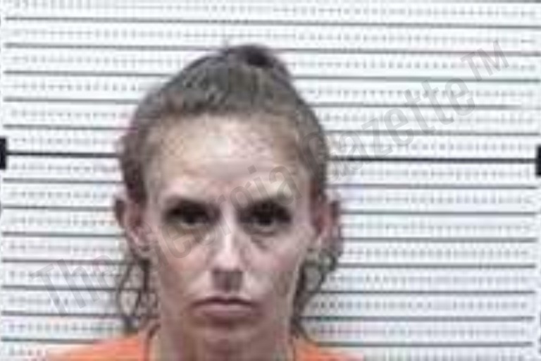 Tattnall County Jail Bookings – The Georgia Gazette