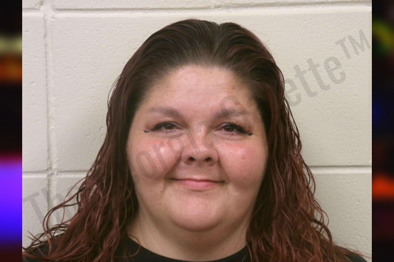Michelle Dodd — Bulloch County Jail Bookings