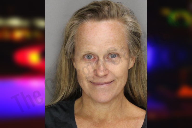 Erin Ely — Cobb County Jail Bookings