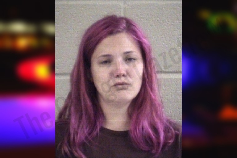 Madison Eckert — Whitfield County Jail Bookings