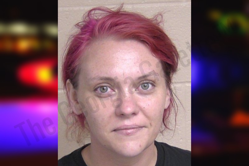 Erica Ellis — Walker County Jail Bookings