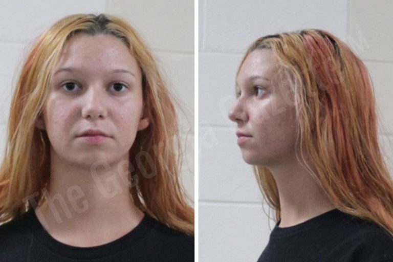 Virginia Ellis — Houston County Jail Bookings