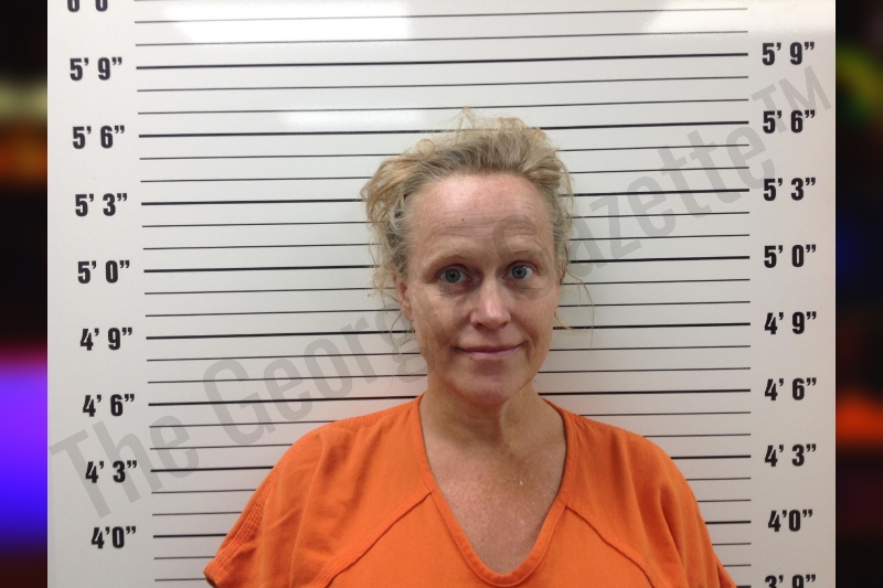 Erin Ely — Pickens County Jail Bookings