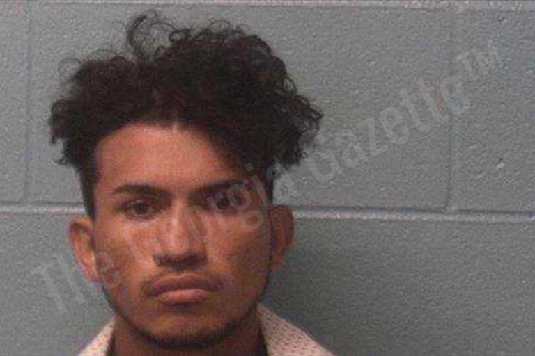 Franklin County Jail Bookings – Page 4 – The Georgia Gazette