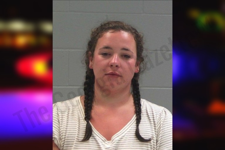 Lauren Fain — Baldwin County Jail Bookings