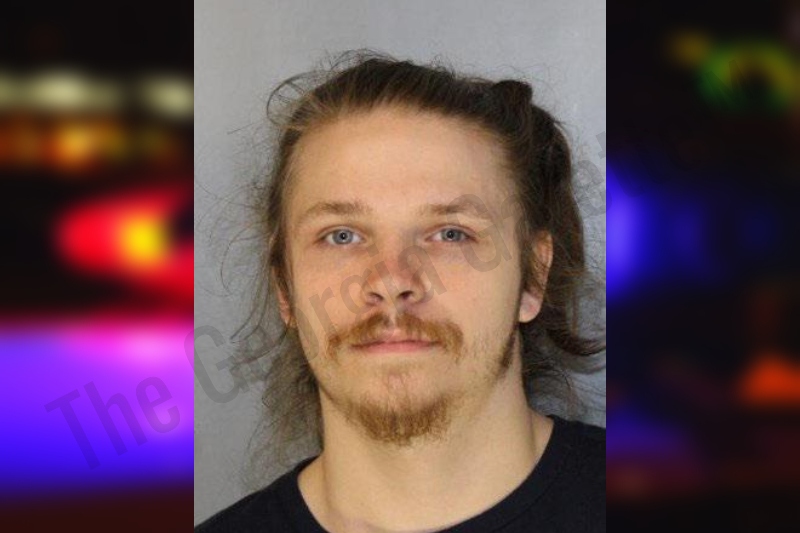 Gavin Franklin — Hall County Jail Bookings