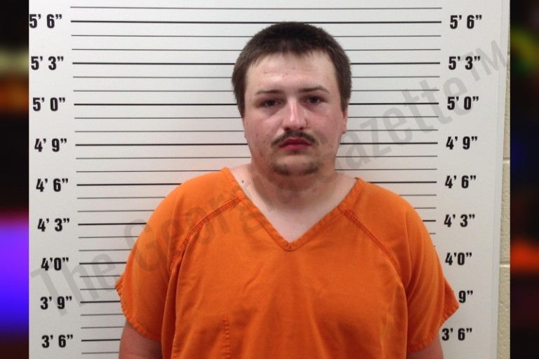 Izik Faucett — Pickens County Jail Bookings