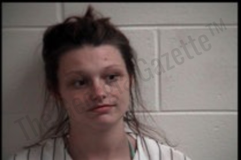 Ashley Gibson — Henry County Jail Bookings