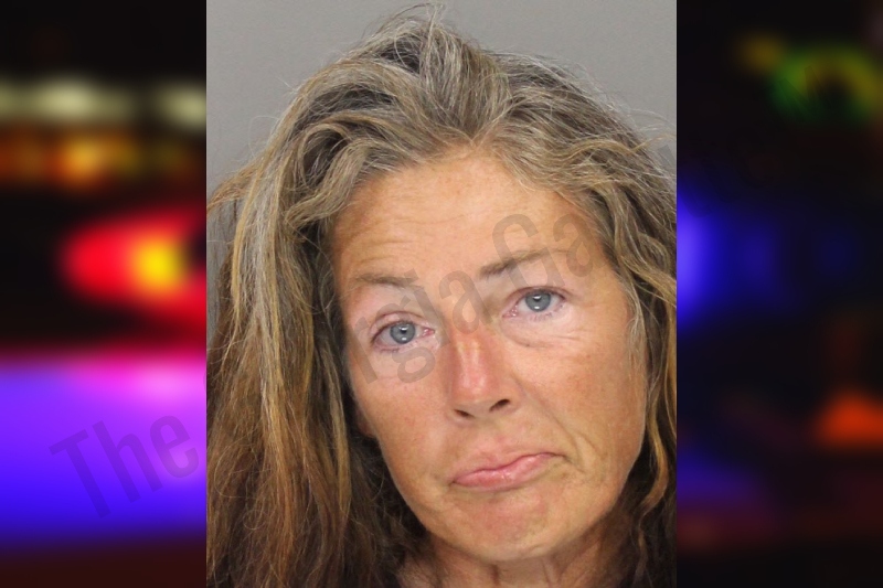 Leiah Gibson — Cobb County Jail Bookings