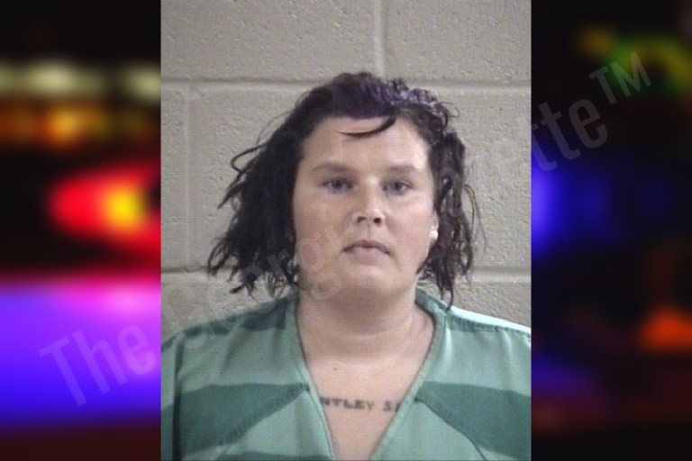 Destiny Gaddis — Whitfield County Jail Bookings