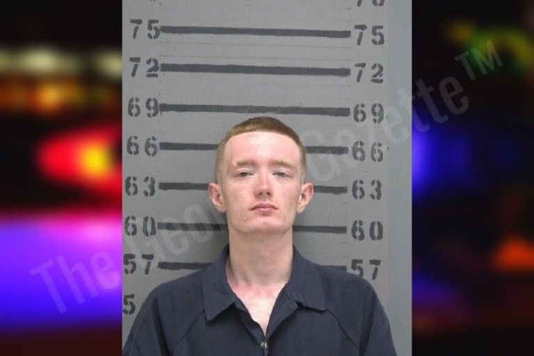 Gavin Garvin — Dougherty County Jail Bookings