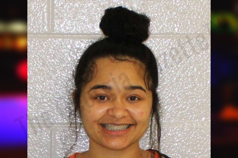 Audrey Hamilton — Carroll County Jail Bookings