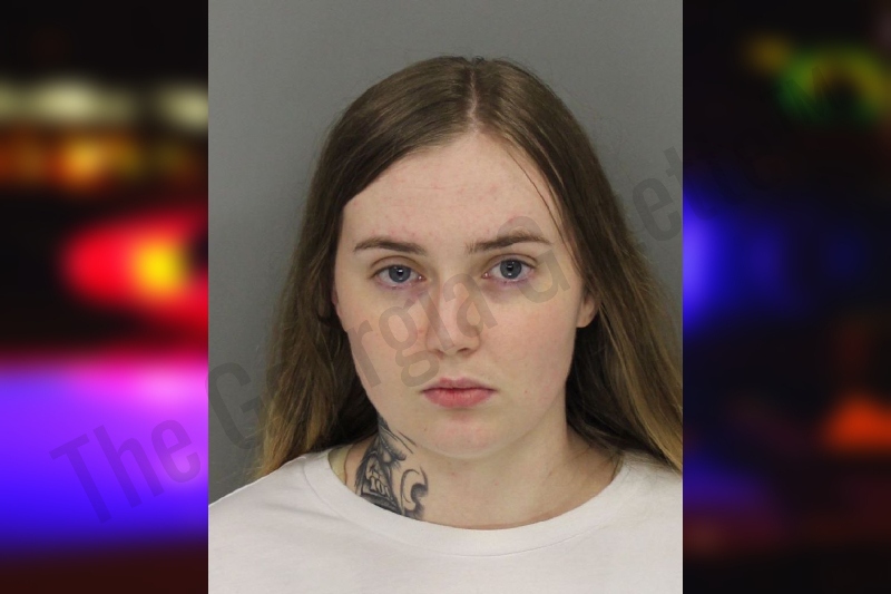 Haley Hayes — Cobb County Jail Bookings