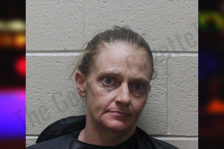 Juley Head — Haralson County Jail Bookings