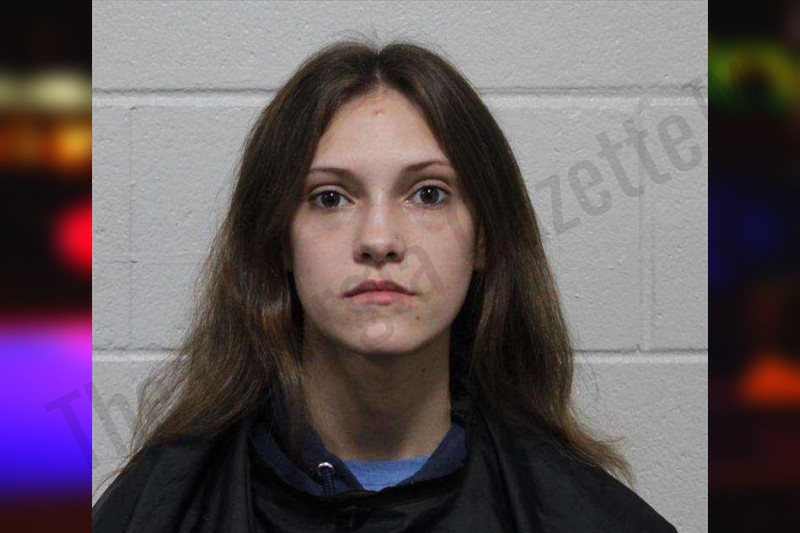 Kiley Harkins — Habersham County Jail Bookings