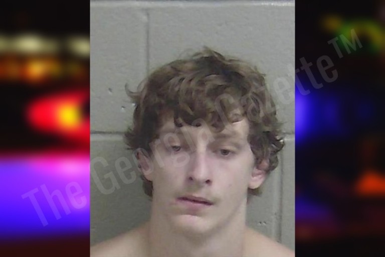 Hayden Harvey — Wayne County Jail Bookings