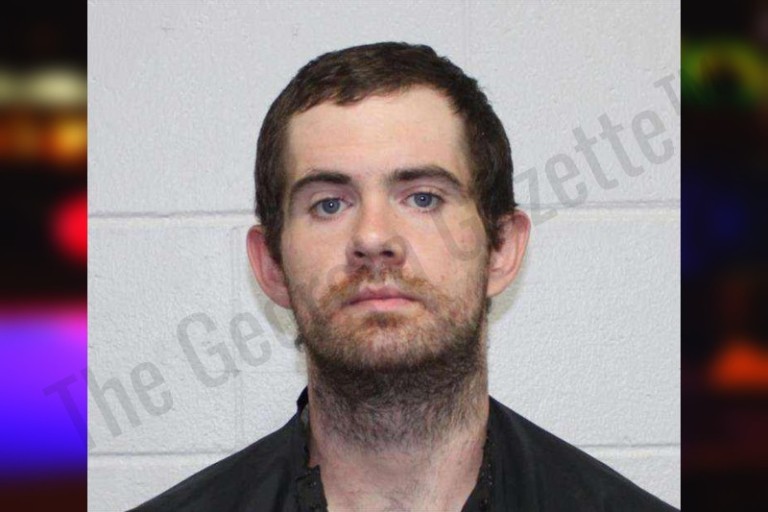 Michael Helton — Habersham County Jail Bookings