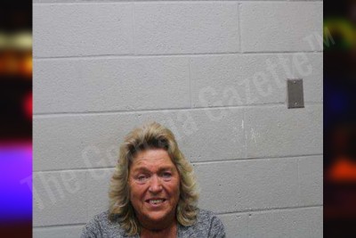 Cynthia Hendrixson — Harris County Jail Bookings