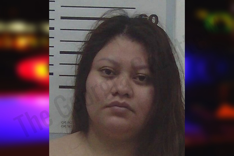 Yaneli Hernandez-Gomez — Colquitt County Jail Bookings