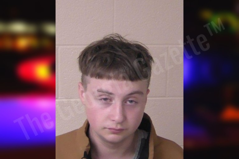 Daniel Hicks — Walker County Jail Bookings