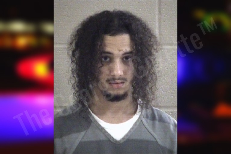 Jermel Hunter — Whitfield County Jail Bookings