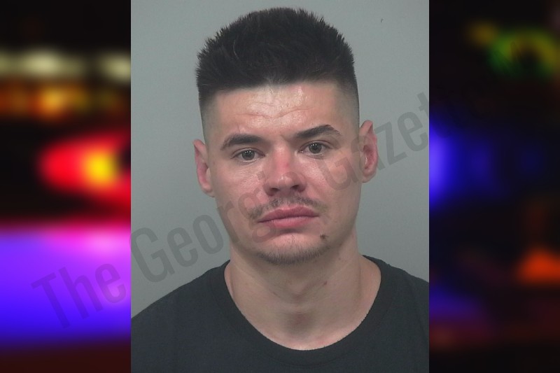 Volodymyr Ionashku — Gwinnett County Jail Bookings