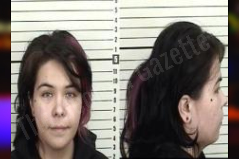 Courtney Isaacs — Camden County Jail Bookings