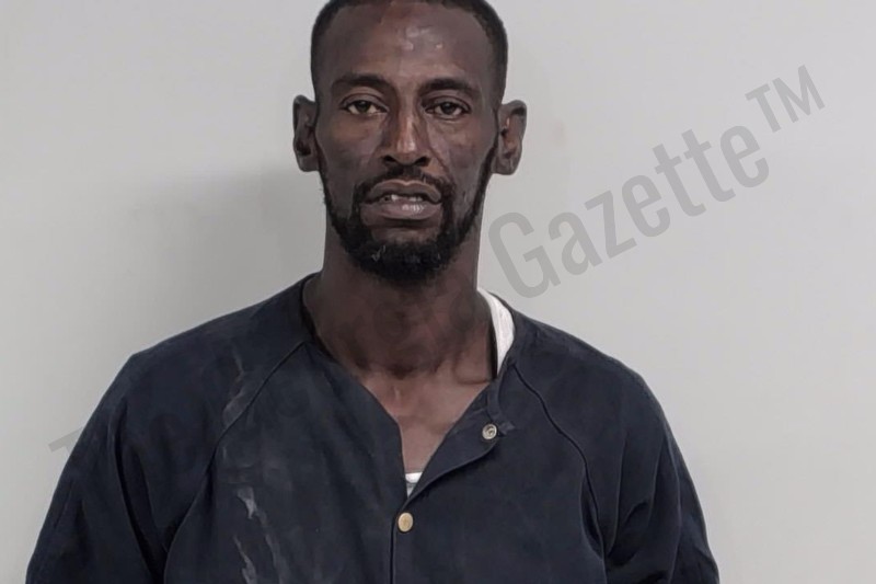 Jason Jelks — Lowndes County Jail Bookings