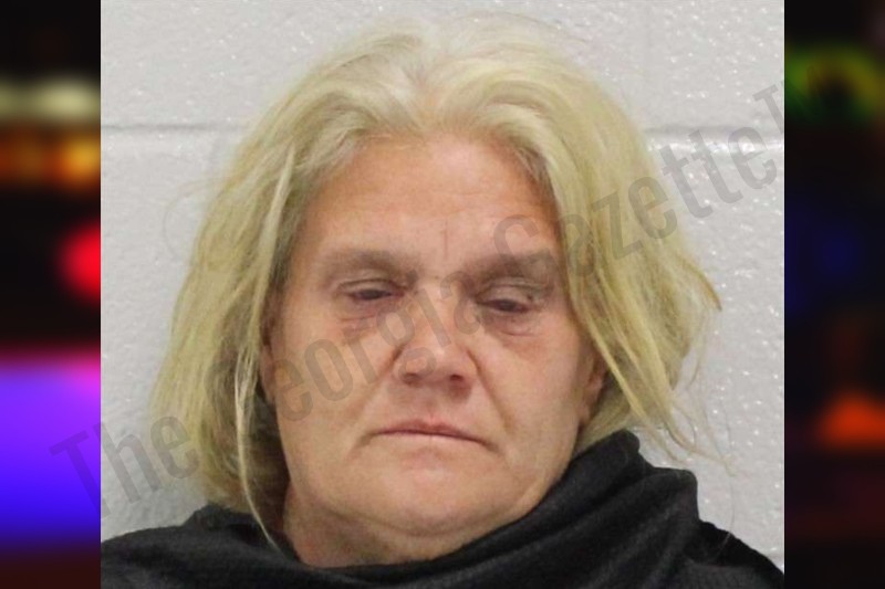 Terri Johnson — Carroll County Jail Bookings