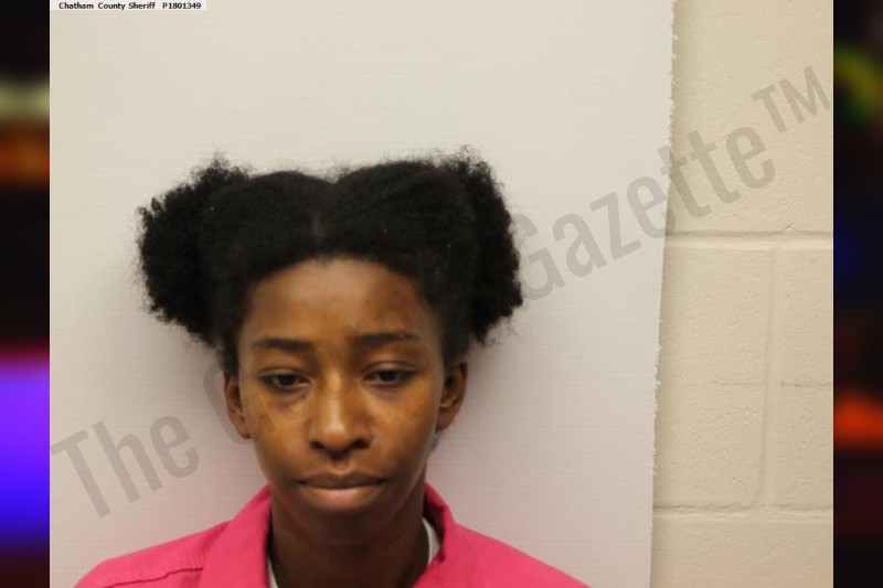 Brandy Jenkins — Chatham County Jail Bookings