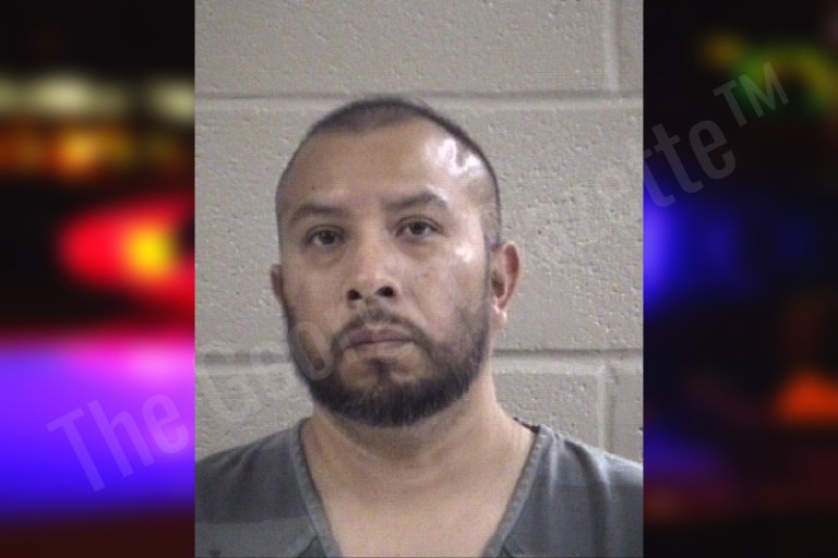 Whitfield County Jail Bookings – Page 9 – The Georgia Gazette