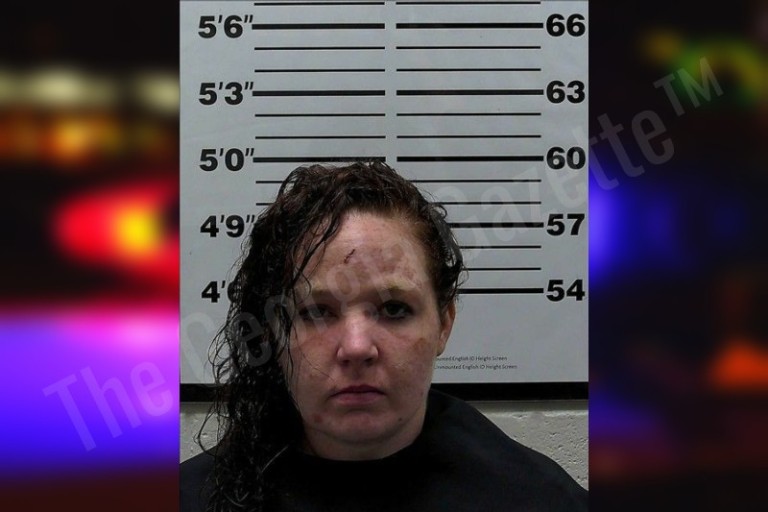 Amy Justice — Hart County Jail Bookings