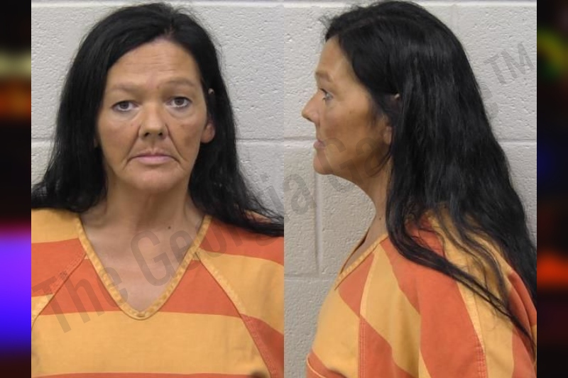 Shelbie Kelly — Paulding County Jail Bookings