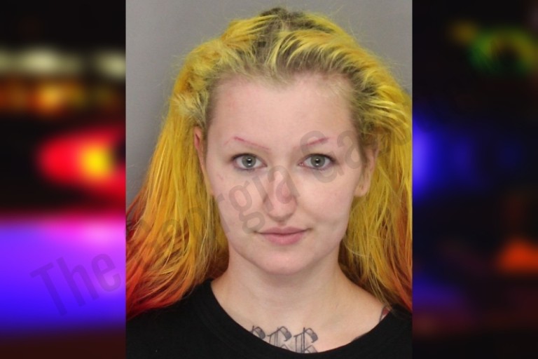 Savannah Landes — Cobb County Jail Bookings