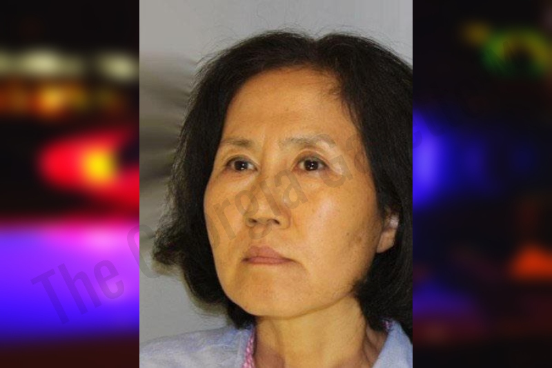 Hong Lee — Hall County Jail Bookings