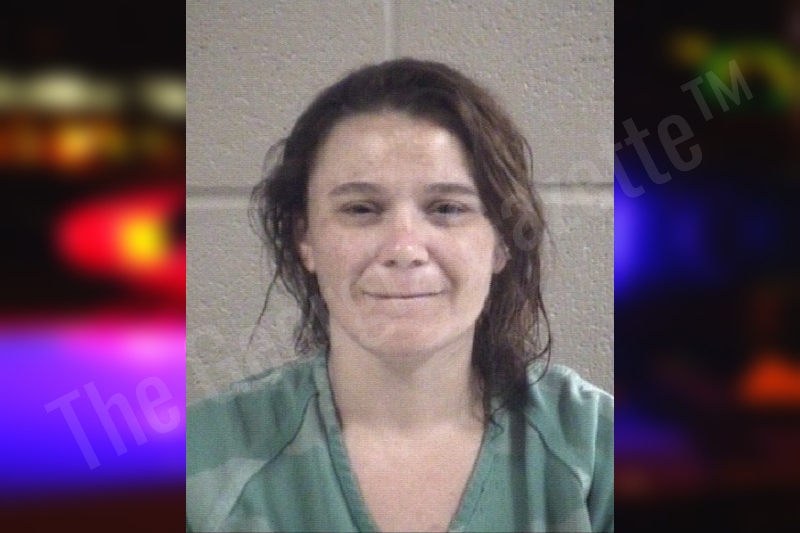 Amber Lee — Whitfield County Jail Bookings