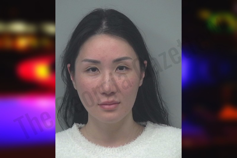 Seo Lee — Gwinnett County Jail Bookings