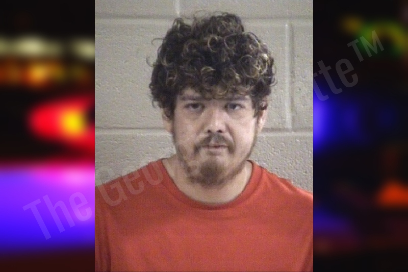 Logan Lowry — Whitfield County Jail Bookings