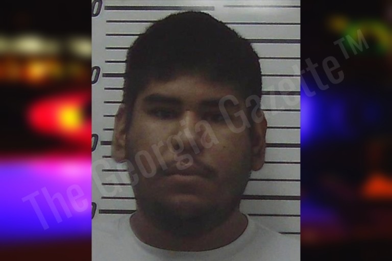 Alex Mateo-Cirilo — Colquitt County Jail Bookings