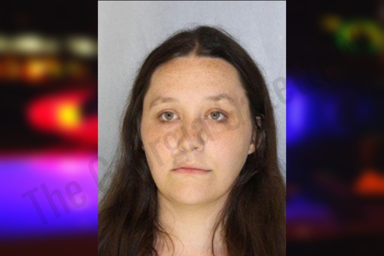 Ansley Mathis — Hall County Jail Bookings