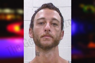 Troy McClellan — Screven County Jail Bookings