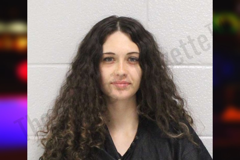 Abigail Morris — Carroll County Jail Bookings