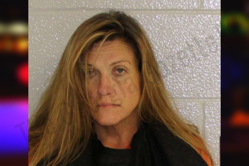 Lisa Mosley — Carroll County Jail Bookings