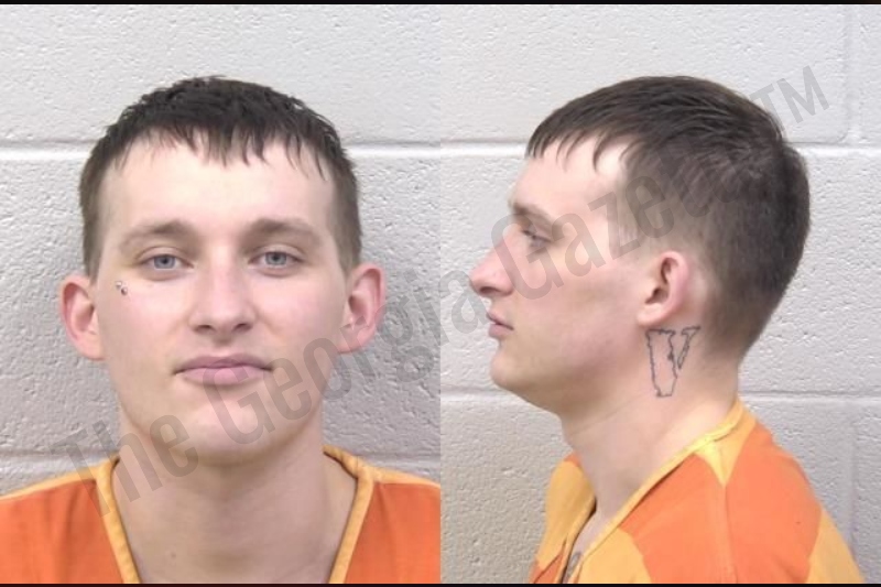 James Matiak — Paulding County Jail Bookings