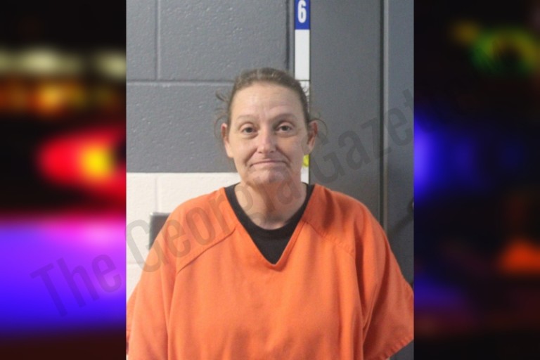 Virginia McGee — Lumpkin County Jail Bookings