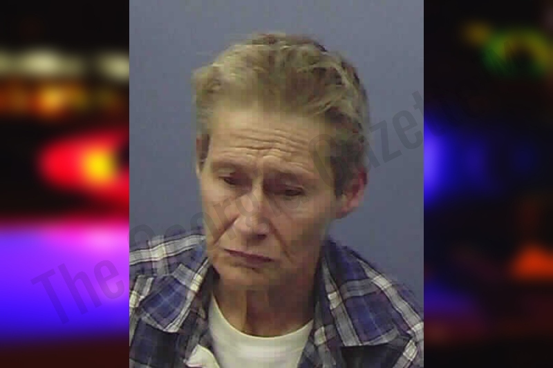 Tina McGuire — Chattooga County Jail Bookings